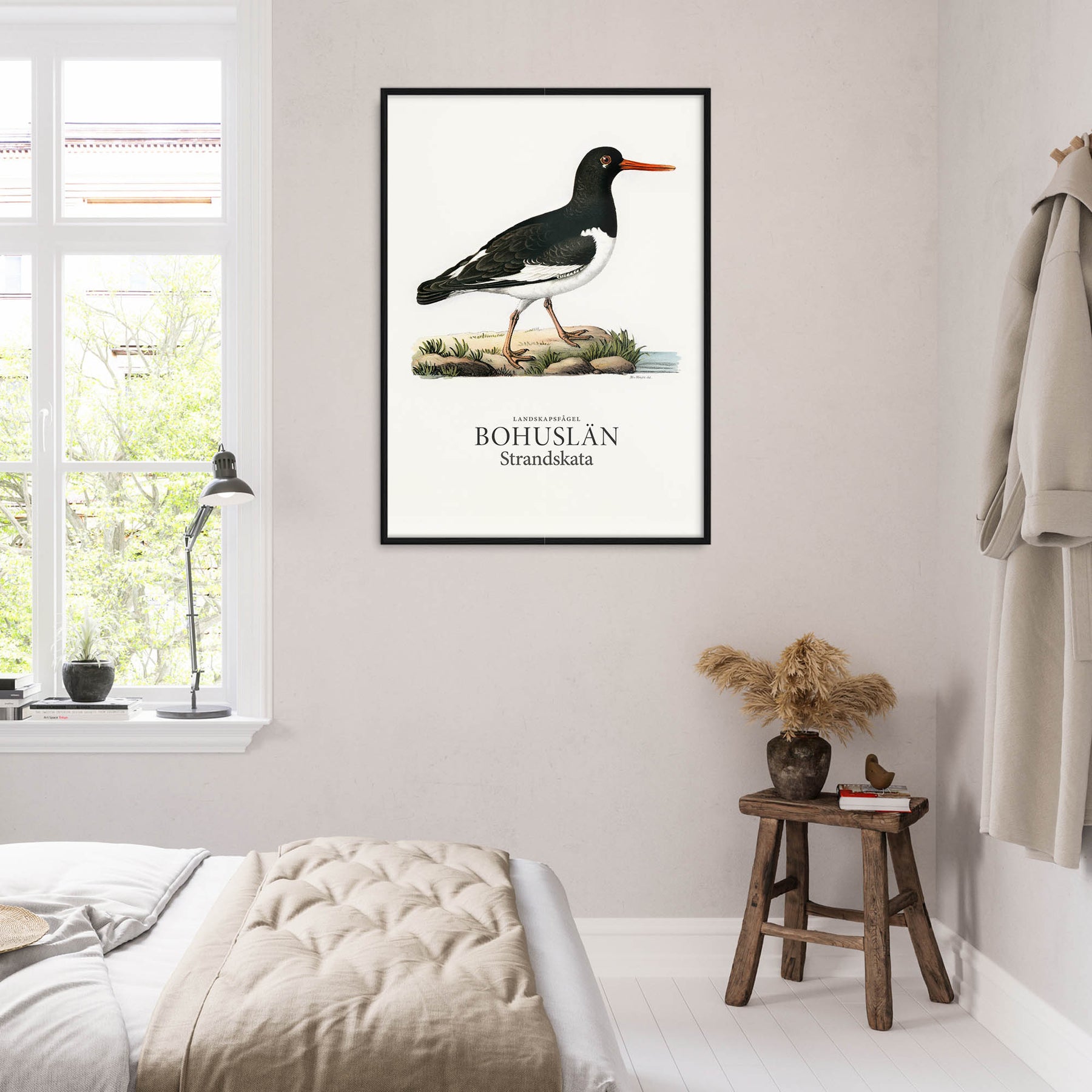 Bohusläns landskapsfågel, Strandskata – Svenska fåglar